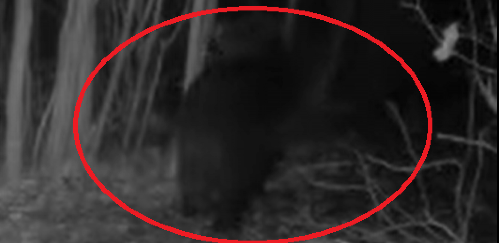 ČOVEK SE VRAĆAO SA ŽENOM IZ KAPELE SVETE PETKE I TADA GA JE NAPALA ...